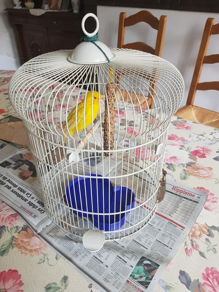 Free 3D file Baignoire pour oiseaux - Birds bath・Object to download and ...