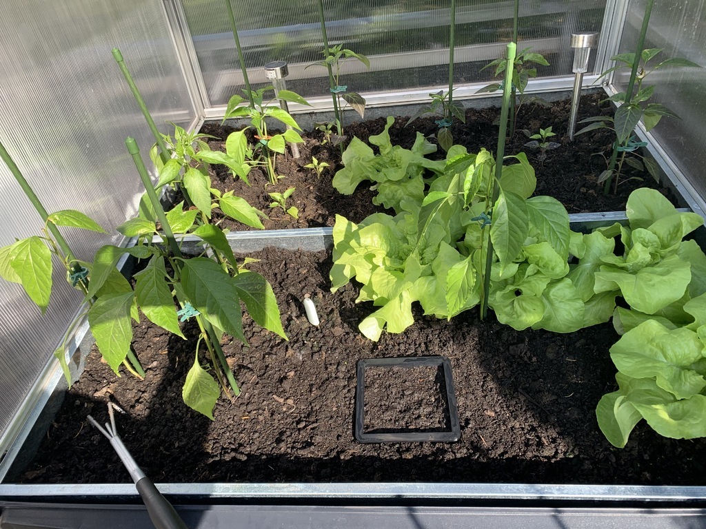 Free 3D file Seed Frame for Herbs / Kräuterbox - mini Kräuterbeet 15 cm ...