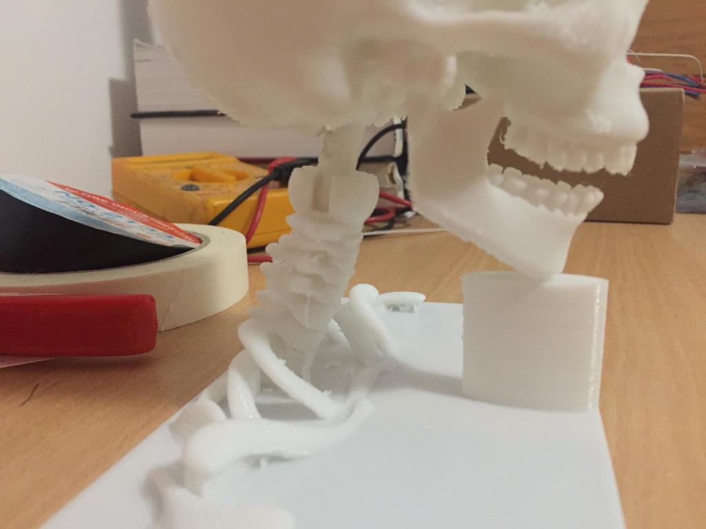 Free 3D file Skull with base・3D print design to download・Cults