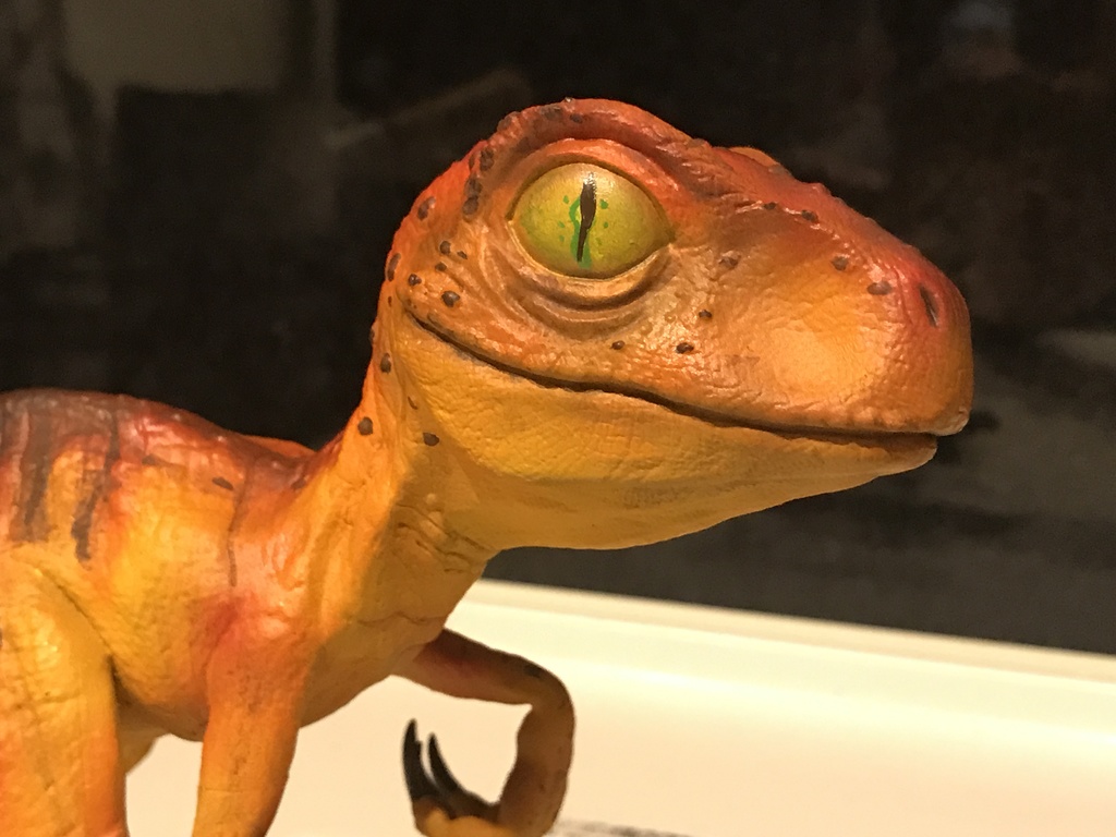 Fichier 3D gratuit Bébé Velociraptor・Design à télécharger et à imprimer ...