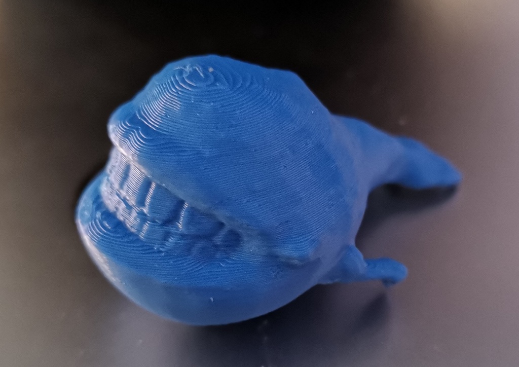 Free 3D file Stupid whale・3D printable model to download・Cults