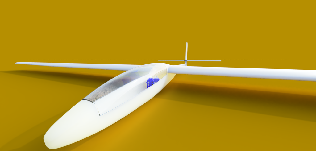 Free 3D file RC Cirrus Glider (PROJECT)・Object to download and to 3D ...