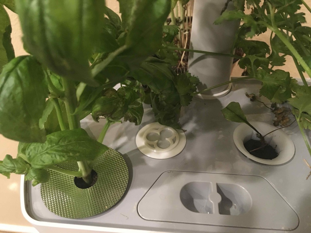 Free 3D file Clover Cap Hole Cover for Aerogarden ☘️・Design to download ...