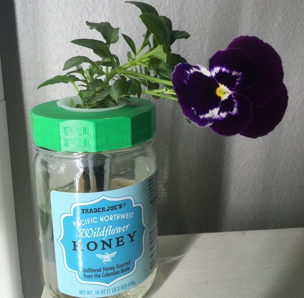 Free 3D file Regular Mouth Mason Jar Lid for Aerogarden Pod 👄・Design to ...