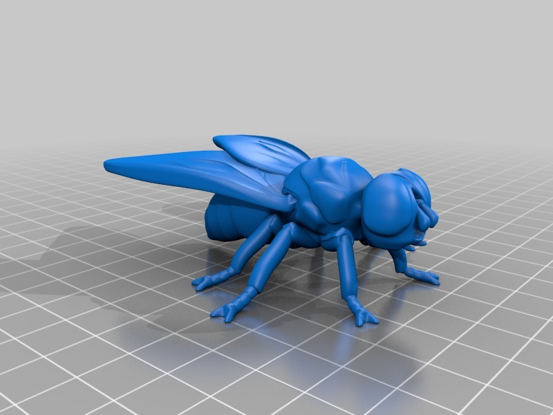 Free 3D file Fly on a 25mm Base・3D printable model to download・Cults