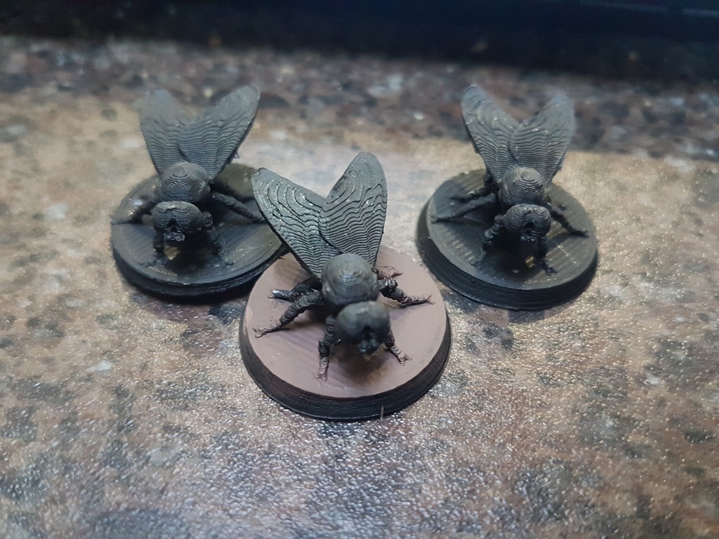 Free 3D file Fly on a 25mm Base・3D printable model to download・Cults