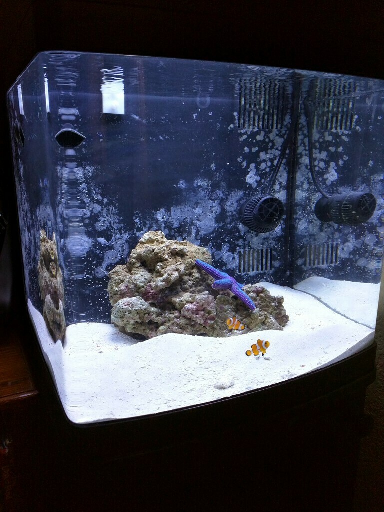 Free 3D file Auto topoff for Oceanic 14g BioCube・3D printing idea to download・Cults