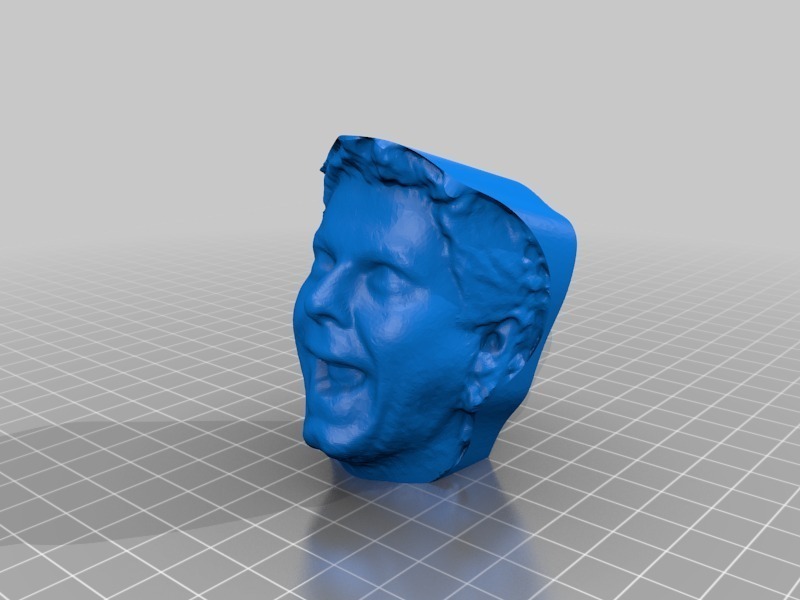 Free 3D file My MakerBot 3D Portrait from Jan 8, 2013・3D printing ...