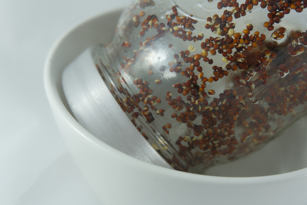 Free 3D file Sprout Growing Mason Jar Strainer・3D printing idea to ...