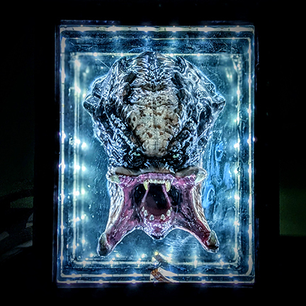 Free 3D file Shadow Box for Predator Face・Template to download and 3D ...