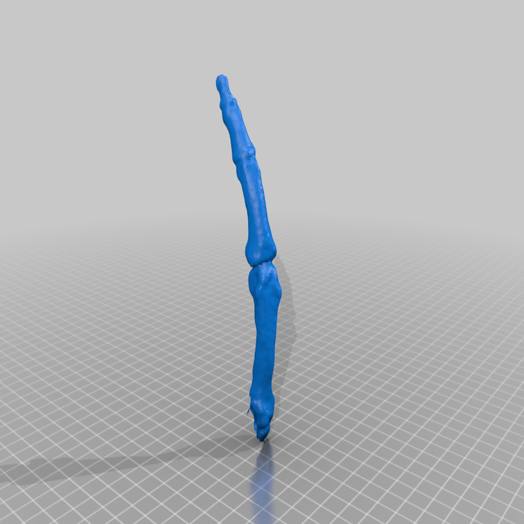 Free 3D file Skeleton Finger Magic Wand・3D printer model to download・Cults