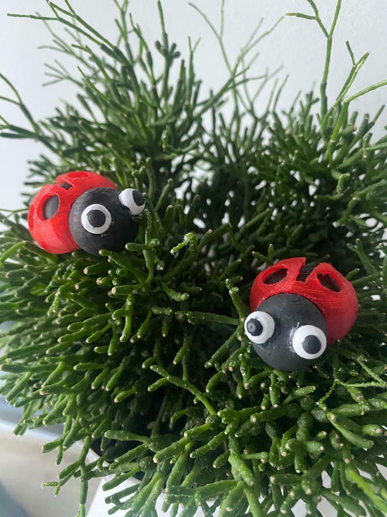 Free 3D file Ladybug・Object to download and to 3D print・Cults