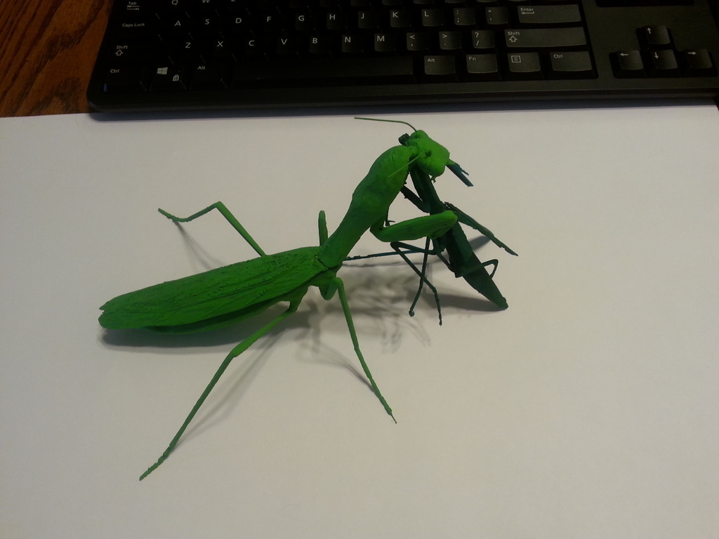 Free 3D file Mantis enjoying aftercourse・3D printing design to download ...