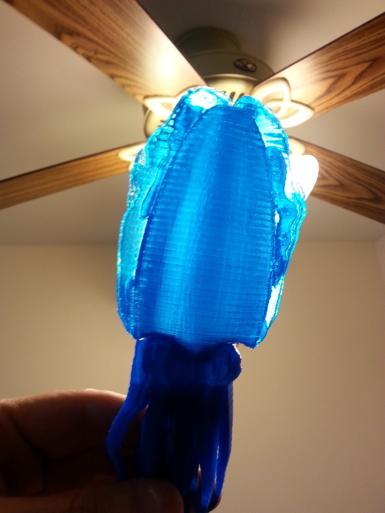 Free 3D file Cute+Cuddly=Cuttlefish・3D printing idea to download・Cults