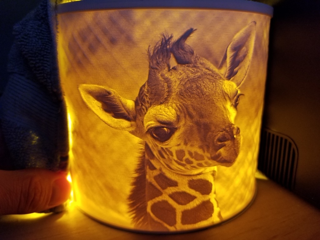 Free 3D file Giraffe Lithophane 🦒・3D print model to download・Cults