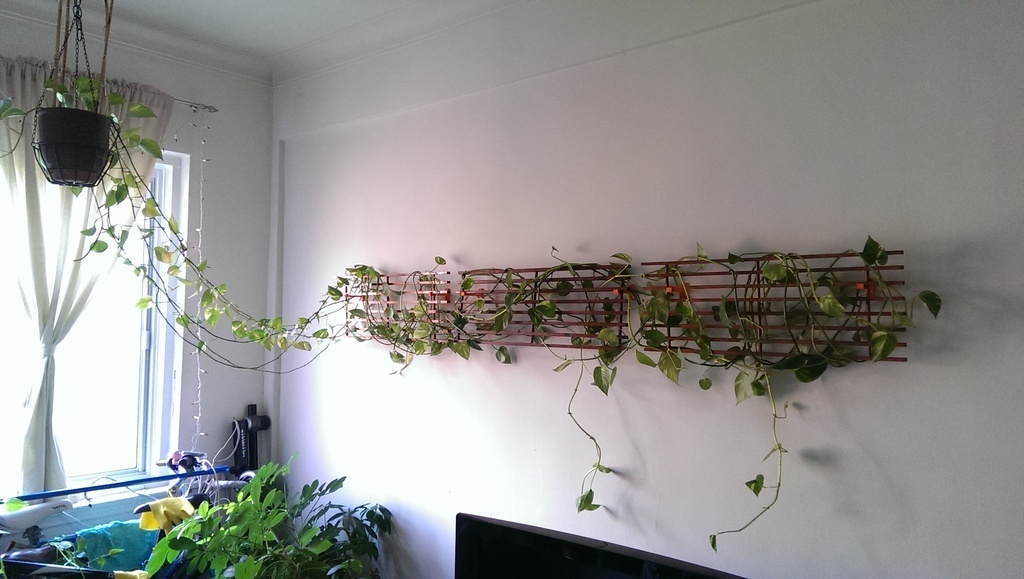 Free 3D file Bracket to Re-purpose Shoe Rack to Plant Trellis・3D ...