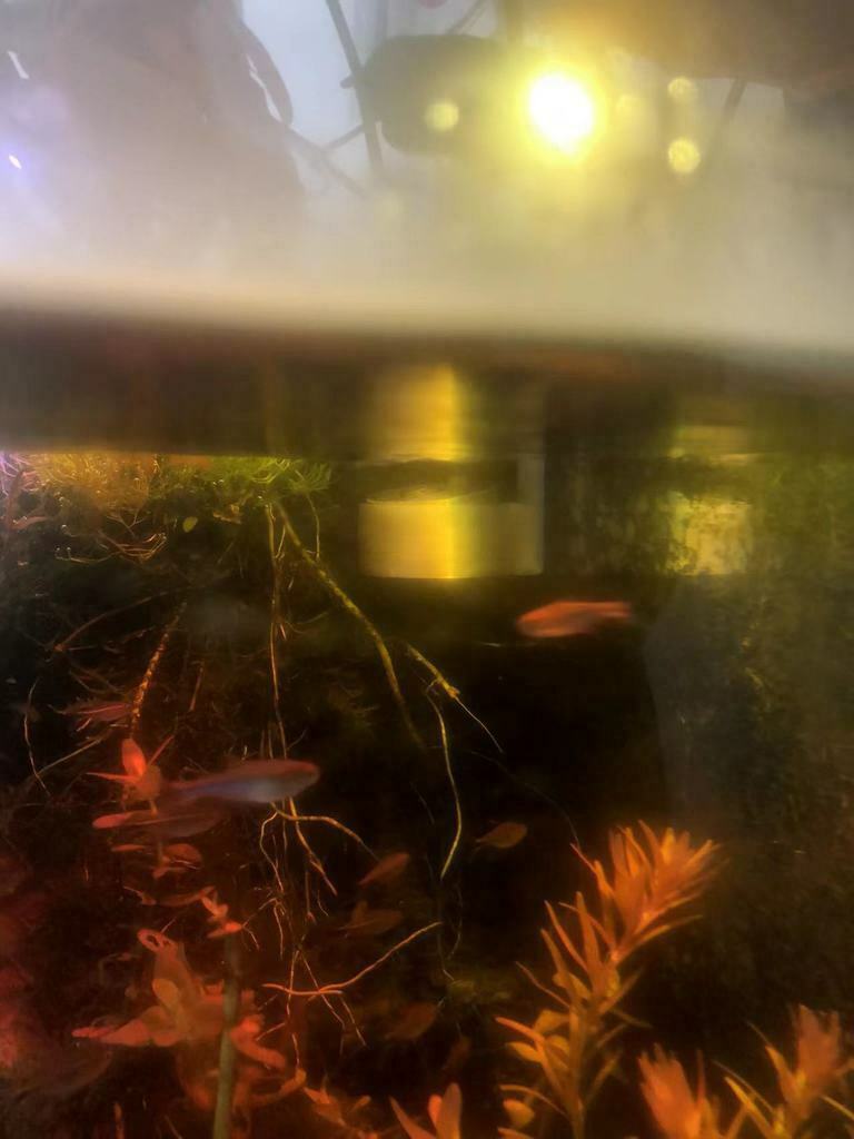 Free 3D file aquarium mist/fog maker holder & cover・3D printing ...