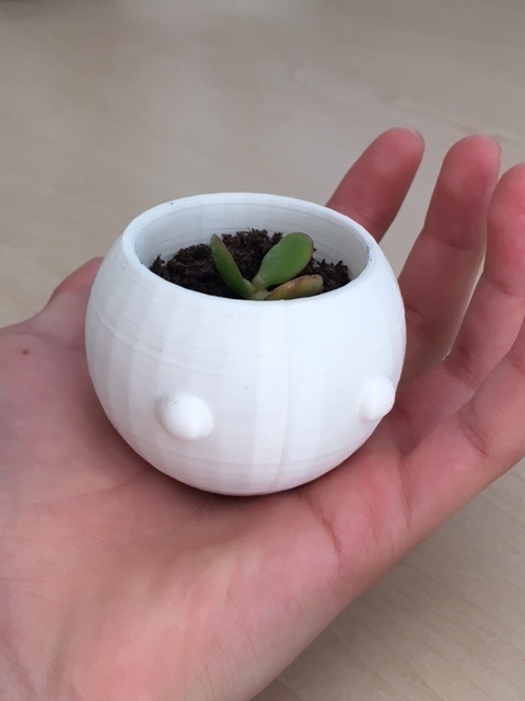 Free 3D file Small plant pot with face+drainage hole・3D printing ...