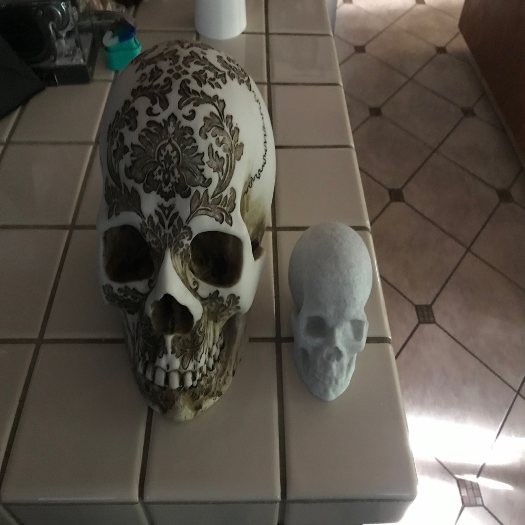 Free 3D file Artistic Skull・3D printable object to download・Cults