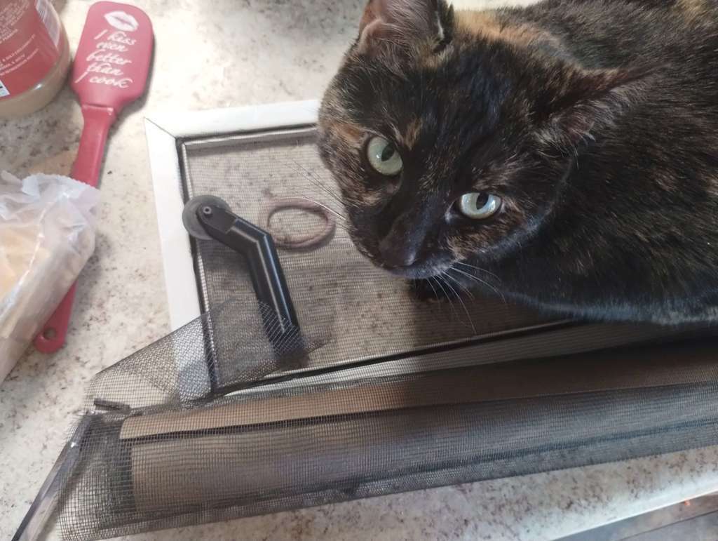 Free 3D file Window screen roller・Object to download and to 3D print・Cults