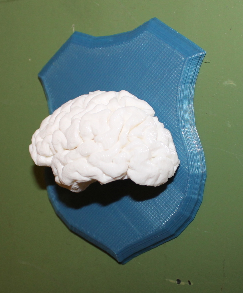 Free 3D file Brain Trophy 🧠・3D printable object to download・Cults