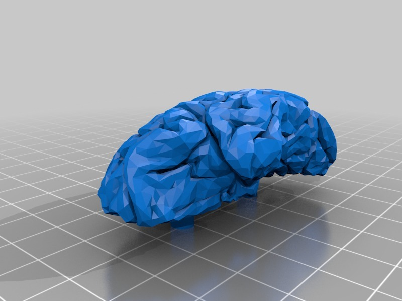 Free 3D file Brain Trophy 🧠・3D printable object to download・Cults