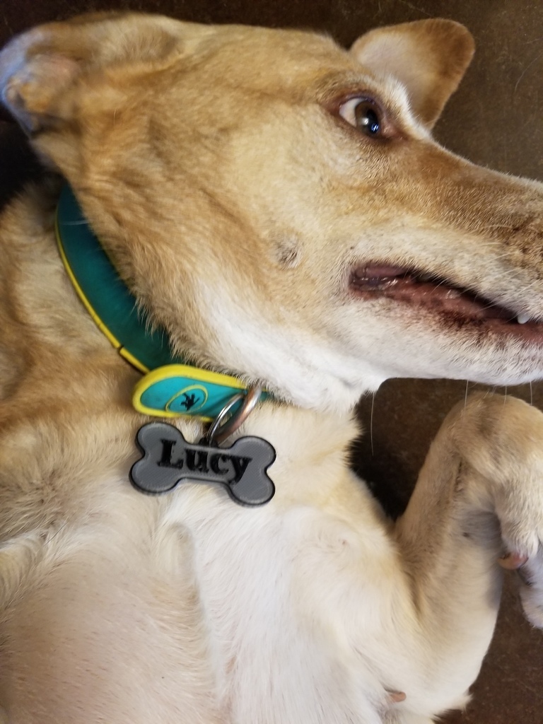 Free 3D file customizable dog tag・Object to download and to 3D print・Cults