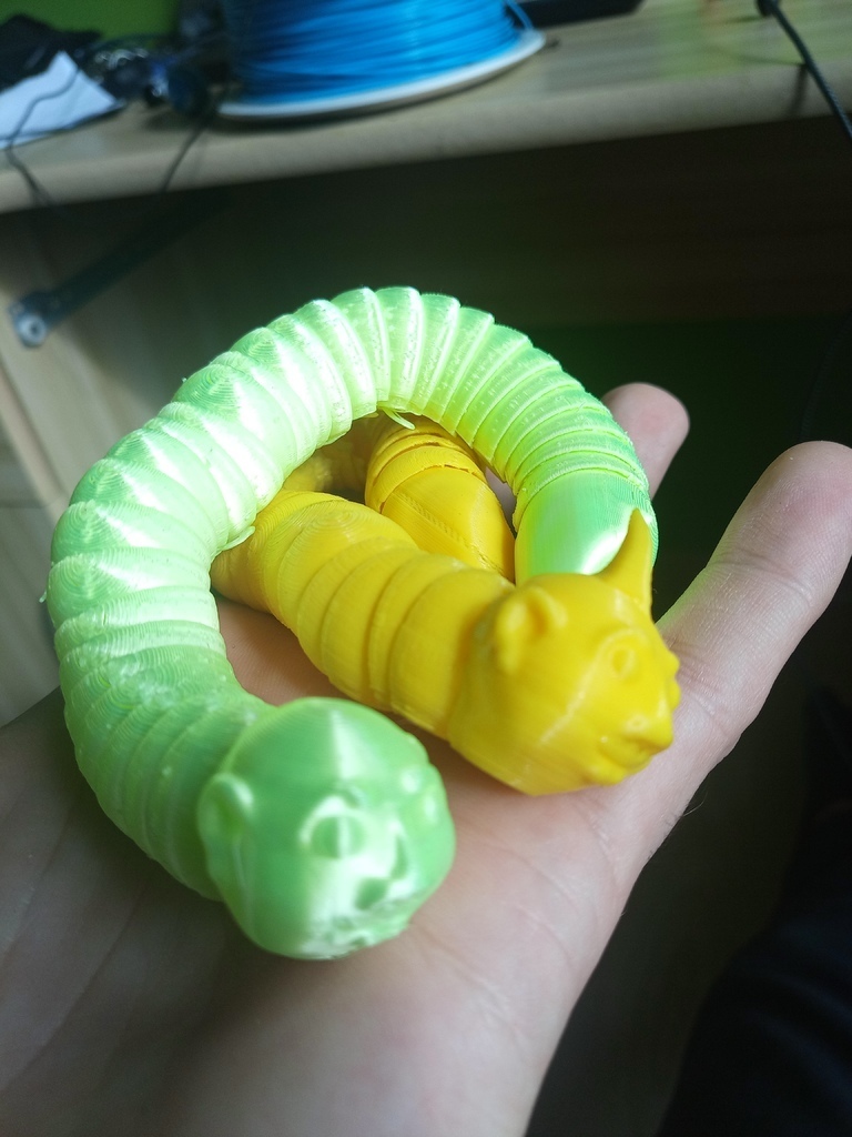 Free 3D file Winding Worm・3D printing model to download・Cults