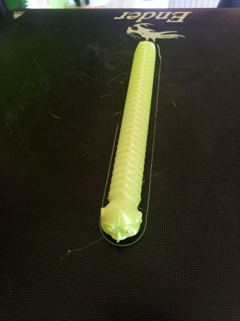 Free 3D file Winding Worm・3D printing model to download・Cults
