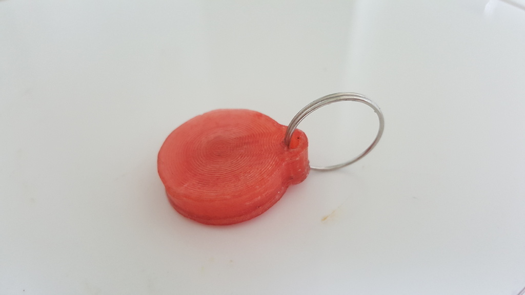 Free 3D file Magnetic Keychain・Object to download and to 3D print・Cults