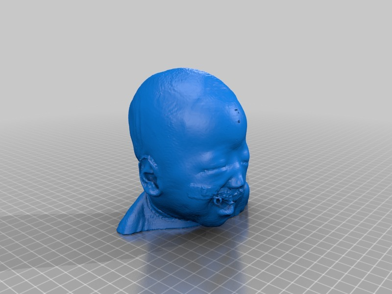 Free 3D file Cebocephaly・3D printable design to download・Cults