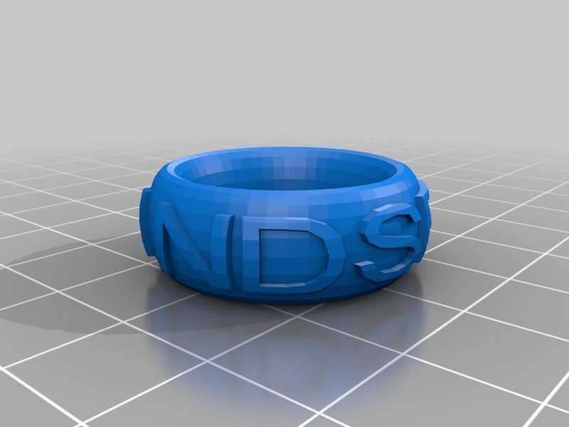 Free 3D file LINDSEY My Customized Text Ring/Bracelet/Crown Thing ...