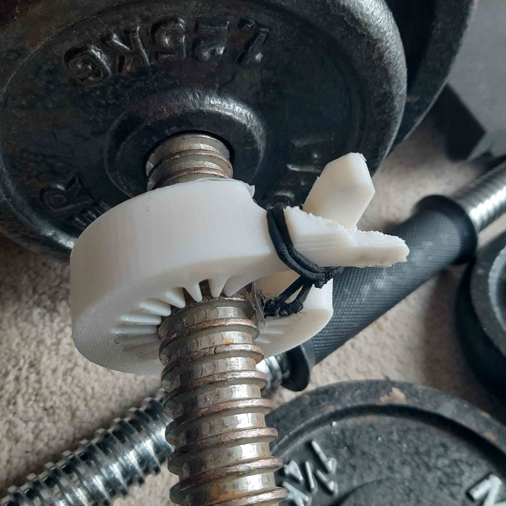 Free 3D file 1 inch barbell flexi quick clips・3D print object to ...