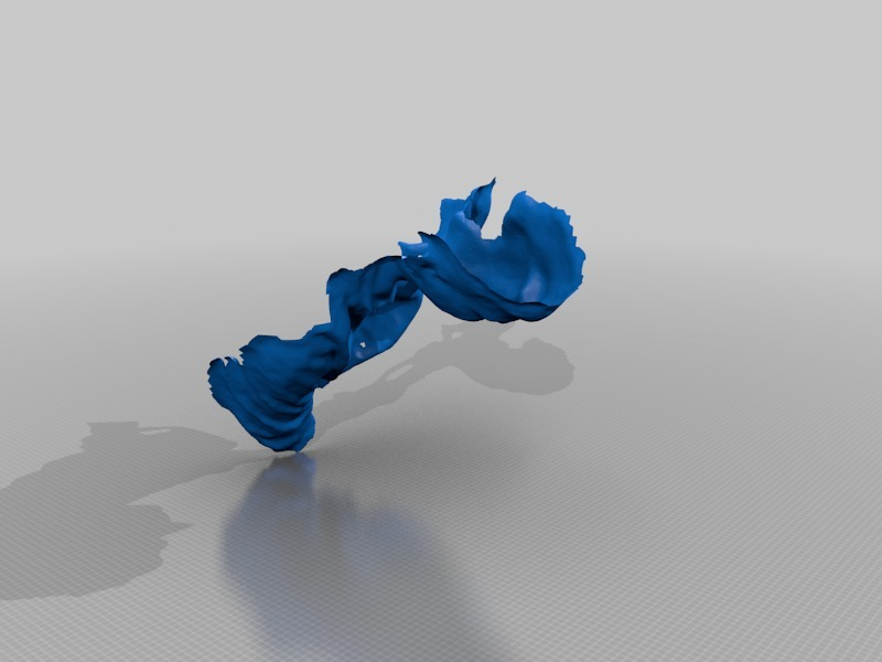 Free 3D file Bust (3D Scan)・3D print object to download・Cults
