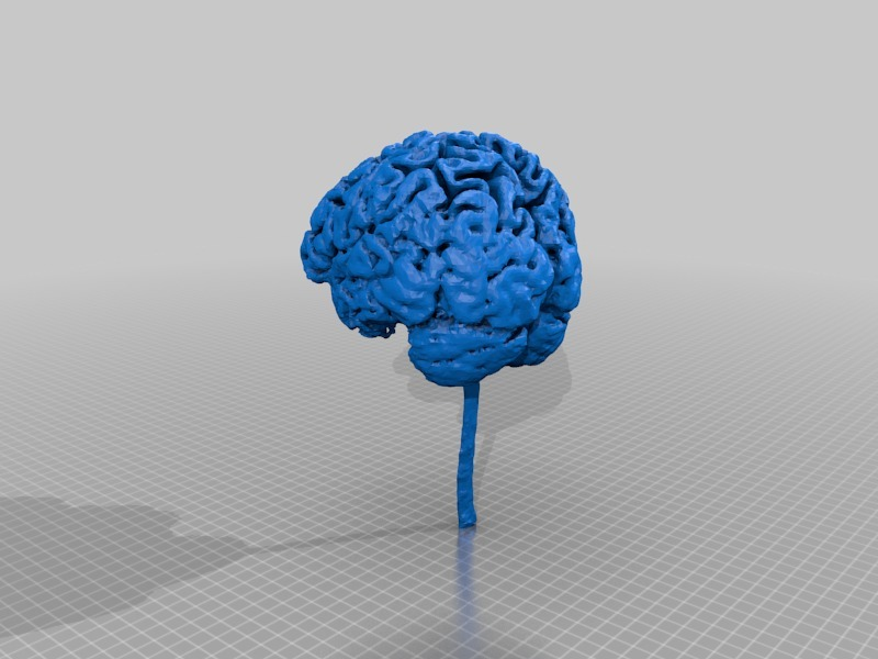 Free 3D file My brain; scanned from an MRI・3D printer design to ...
