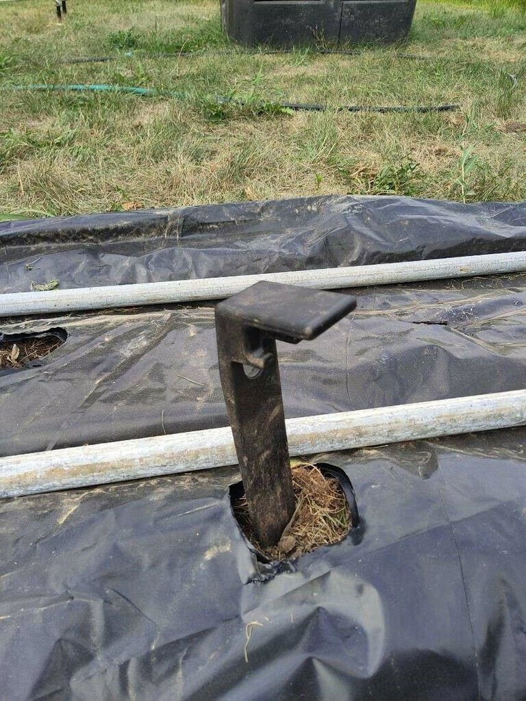 Free 3D file Strawberry Planting Tool・3D printing template to download ...