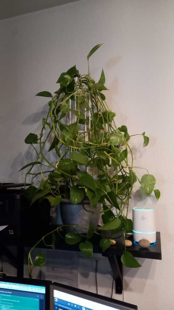 Archivo 3D gratis SOPORTE PLANTA (25'5-65cm) POTUS MODULAR ROBUSTO・Plan ...