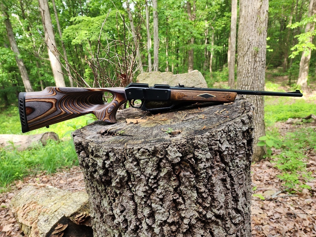 Free 3D file Daisy 880 Wood Stock Adapter・3D printing template to ...