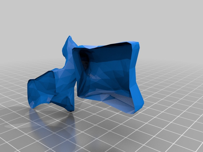 Free 3D file Lumbar Vertebrae and Sacrum, in easy printable format 🧪 ...
