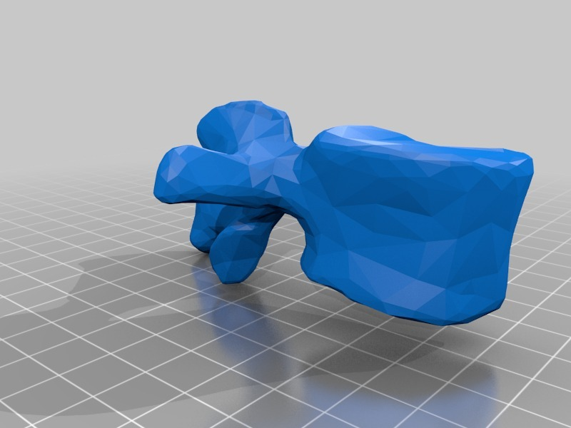 Free 3D file Lumbar Vertebrae and Sacrum, in easy printable format 🧪 ...