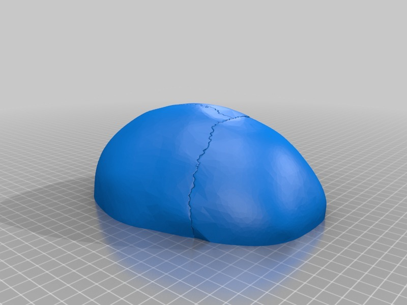 Free 3D file Human skull, anatomically correct and printer friendly ...