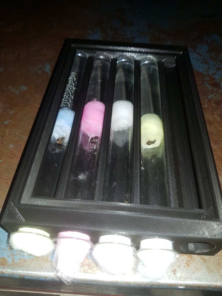 Free 3D file Ant test tube holder with lid・Template to download and 3D ...