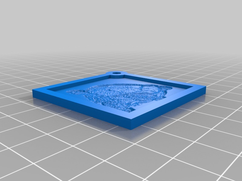 Free 3D file Giant tortoise key chain・3D printer design to download・Cults