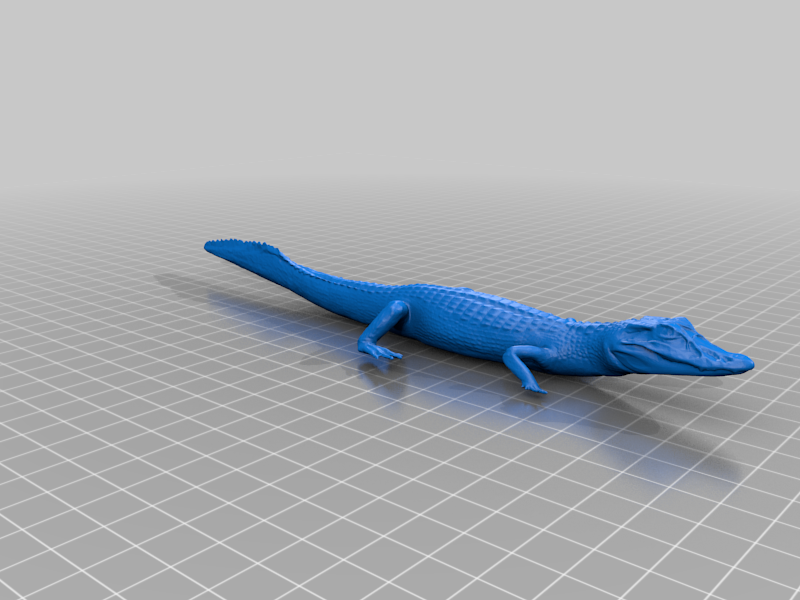 Free 3D file Black Caiman by Natural History Museum of Vienna・3D ...