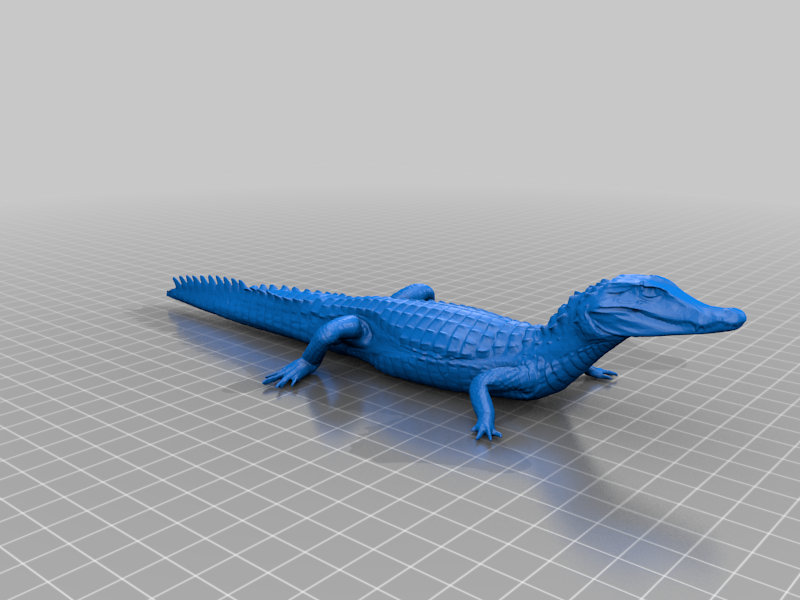 Free 3D file Smooth-Fronted Caiman by Natural History Museum of Vienna ...