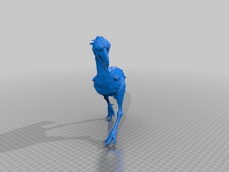 Free 3D file Terror-bird by Natural History Museum of Vienna 🖨️・3D ...