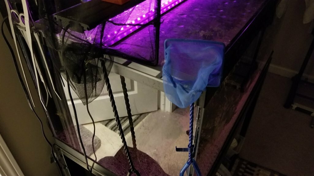 Free 3D file Basic Aquarium Net Holder・3D print design to download・Cults