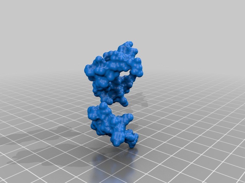Free 3D file Human Insulin Hexamer PDB ID: 2WS6・3D printing template to ...