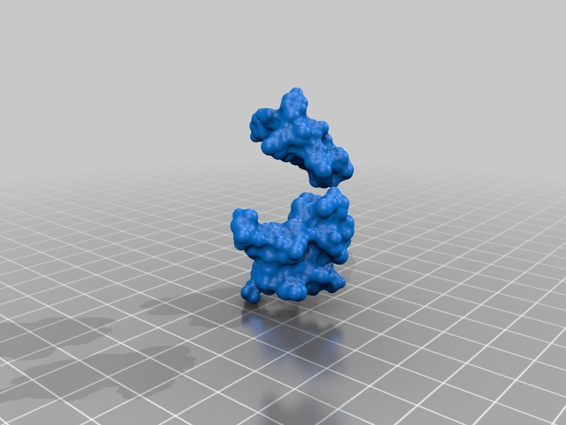 Free 3D file Human Insulin Hexamer PDB ID: 2WS6・3D printing template to ...