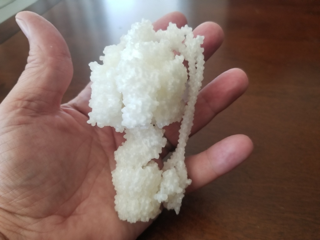 Free 3D file Structure of a bacterial ATP synthetase. PDB:ID 6N2Y ...